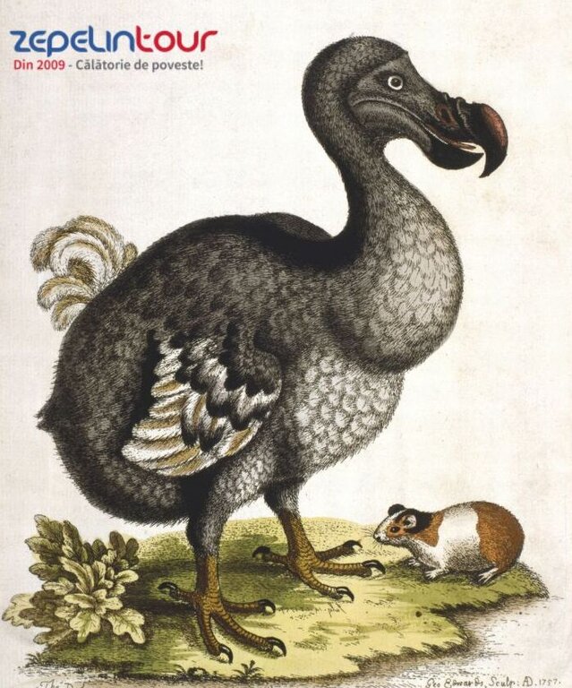 10 curiozitati despre Mauritius