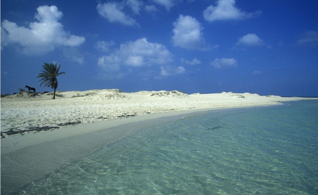 Excursii optionale Tunisia